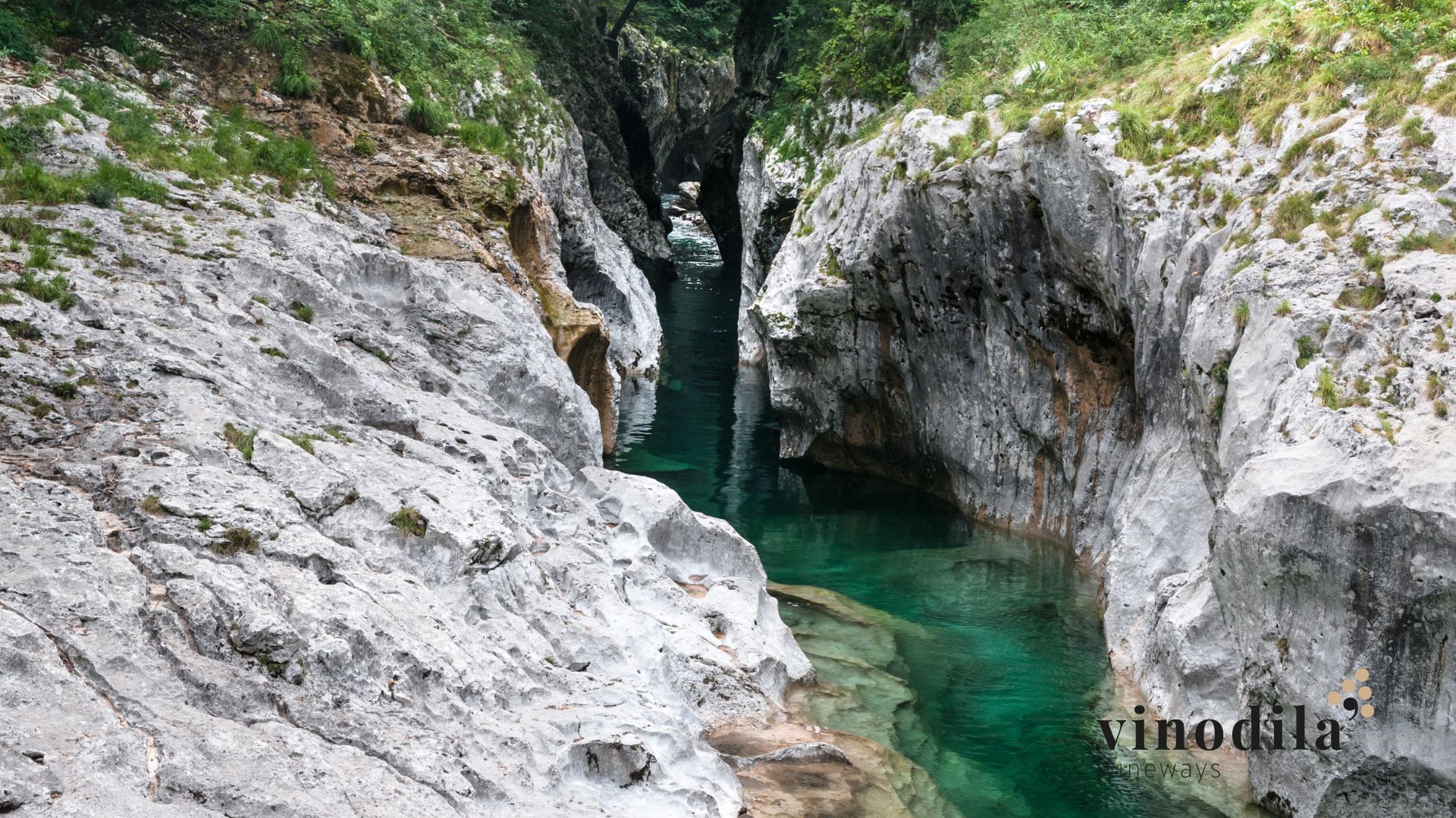 La bellezza del Friuli Venezia Giulia d'estate
