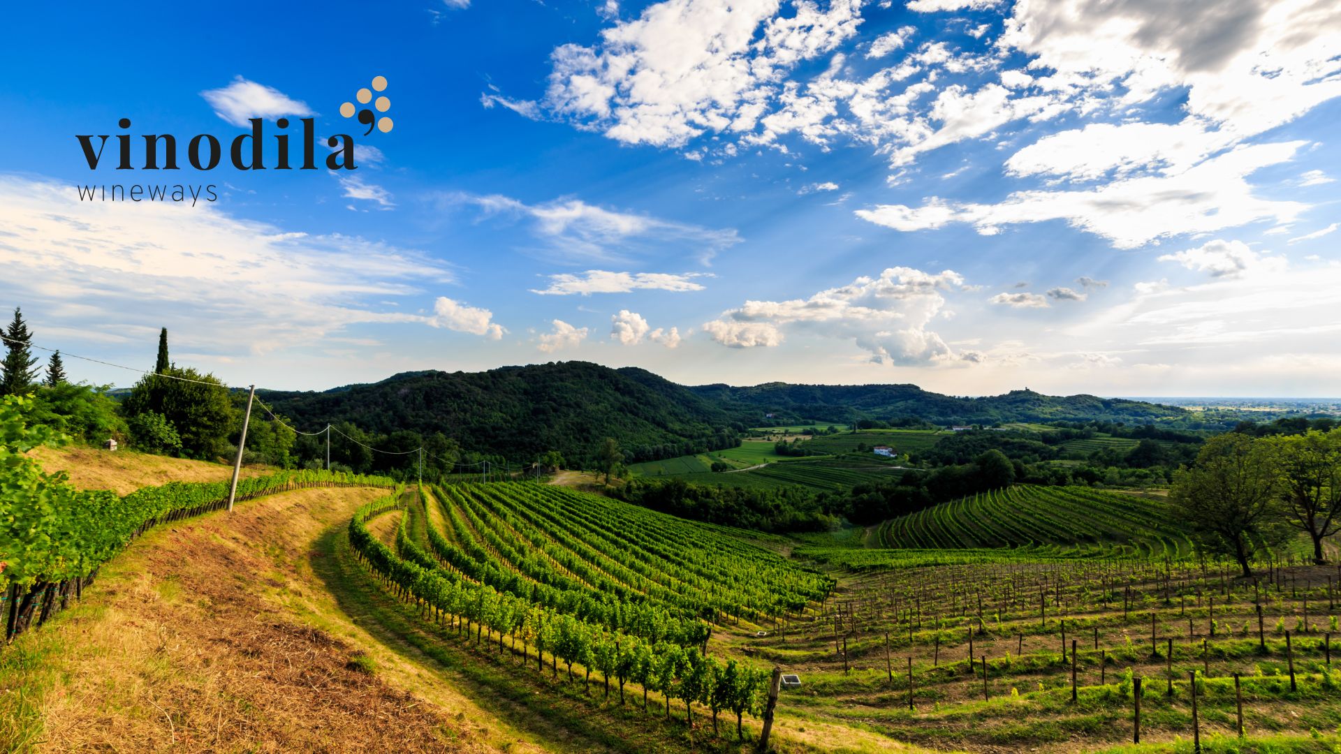 Il Viaggio del Vino Friulano Dut’ Un 2020